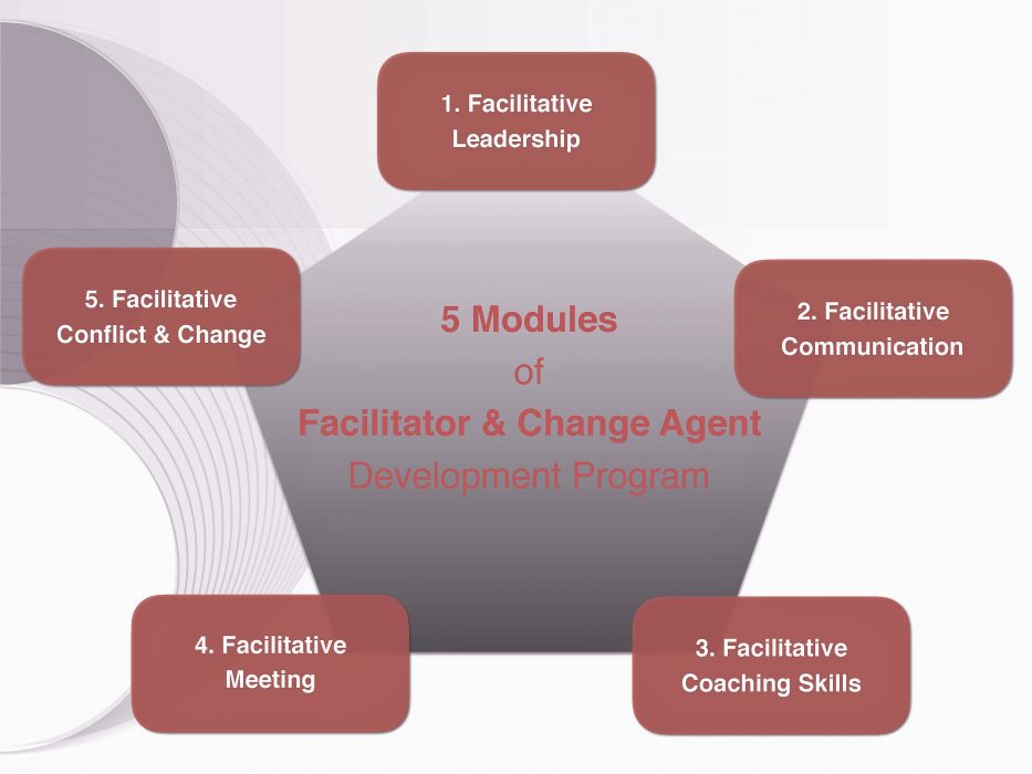 Facilitator & Change Agent Development Program - DojoSpirit